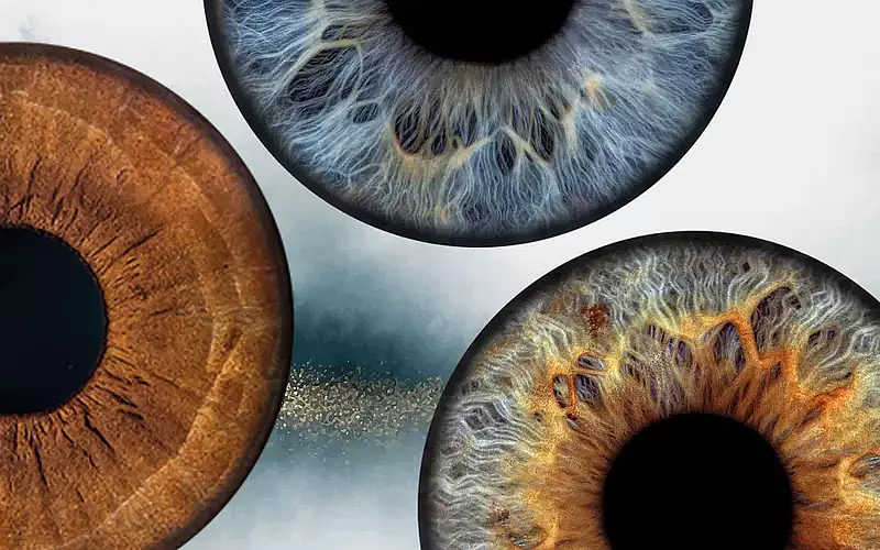 Fun Fact Iris Photo: your eyes are not green!